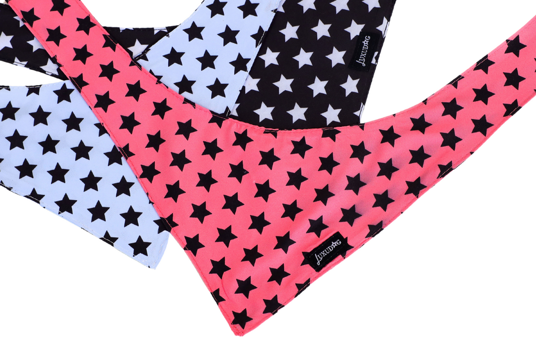 Shop Stars Collection – LuxuDog